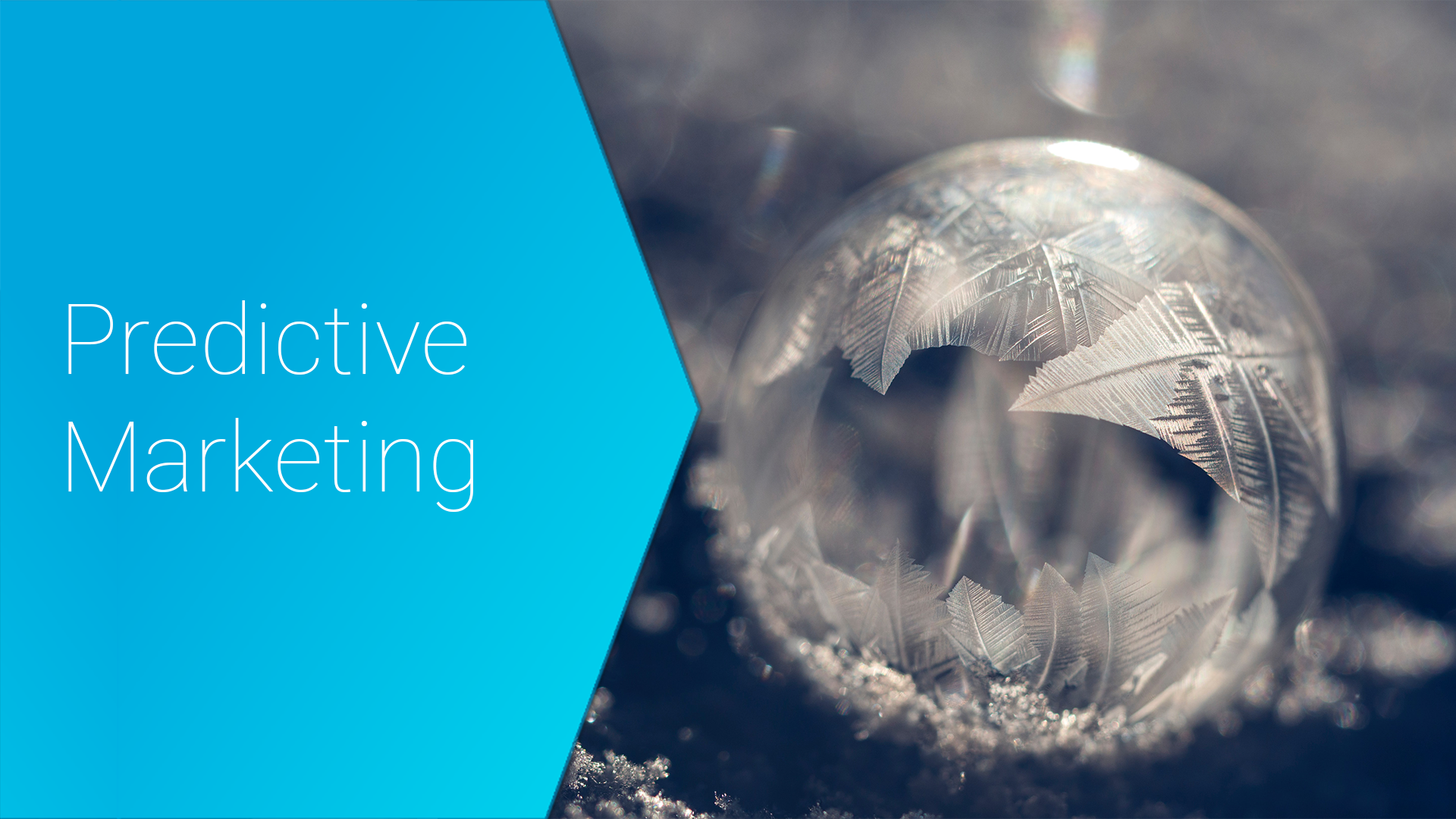 Predictive Marketing - die Grundlagen | WiredMinds